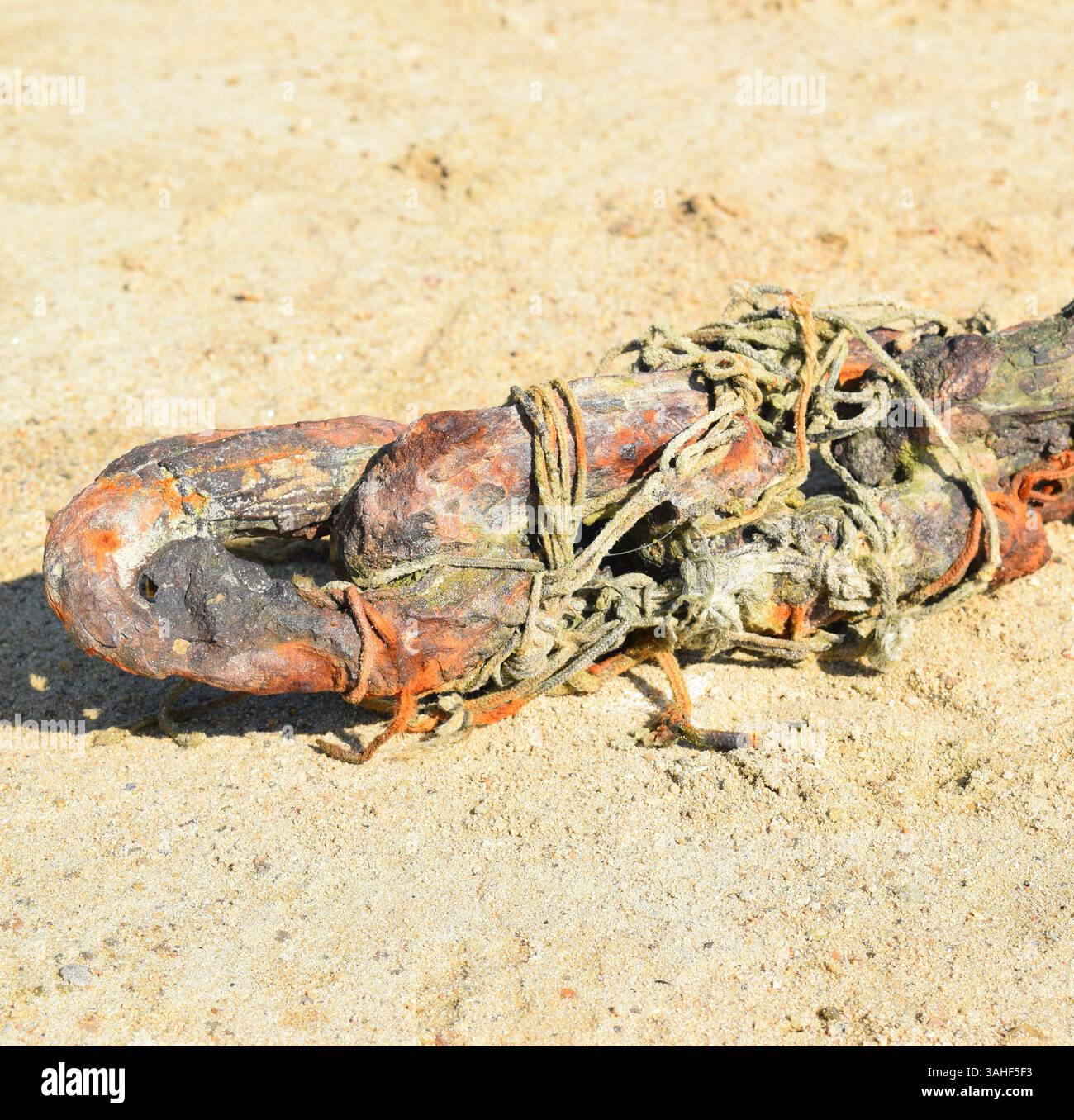 Ancient rusted giant boat chain, Cotes des Sables, Finistere, Bretagne ...