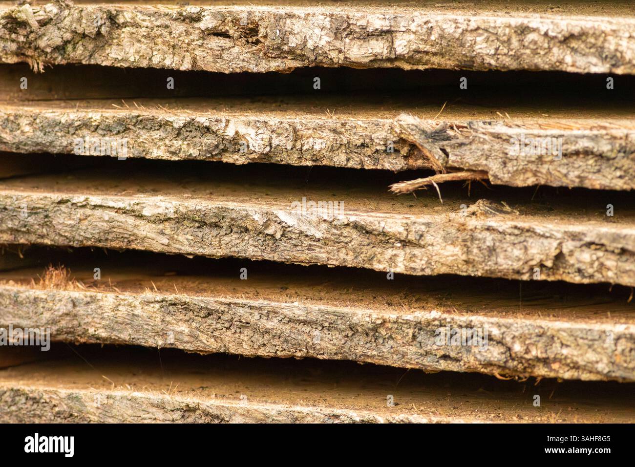 Close up image of wood lumber milled planks air drying in a stack Stock ...