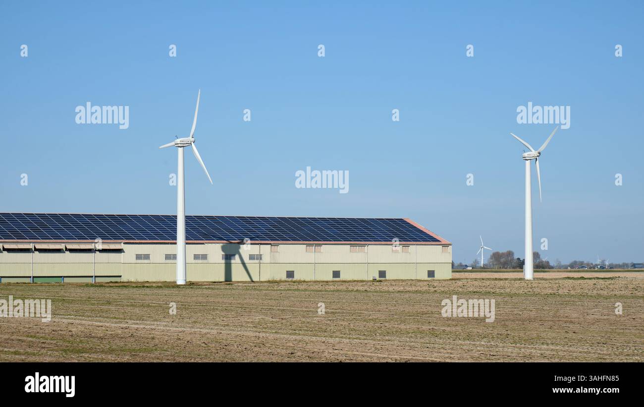 A modern Frisian farm barn equipped with solar panels and two wind ...