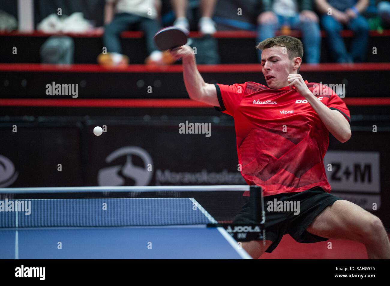 Flavien Coton in the final match at WTT Feeder Havirov 2025, on April 9 ...