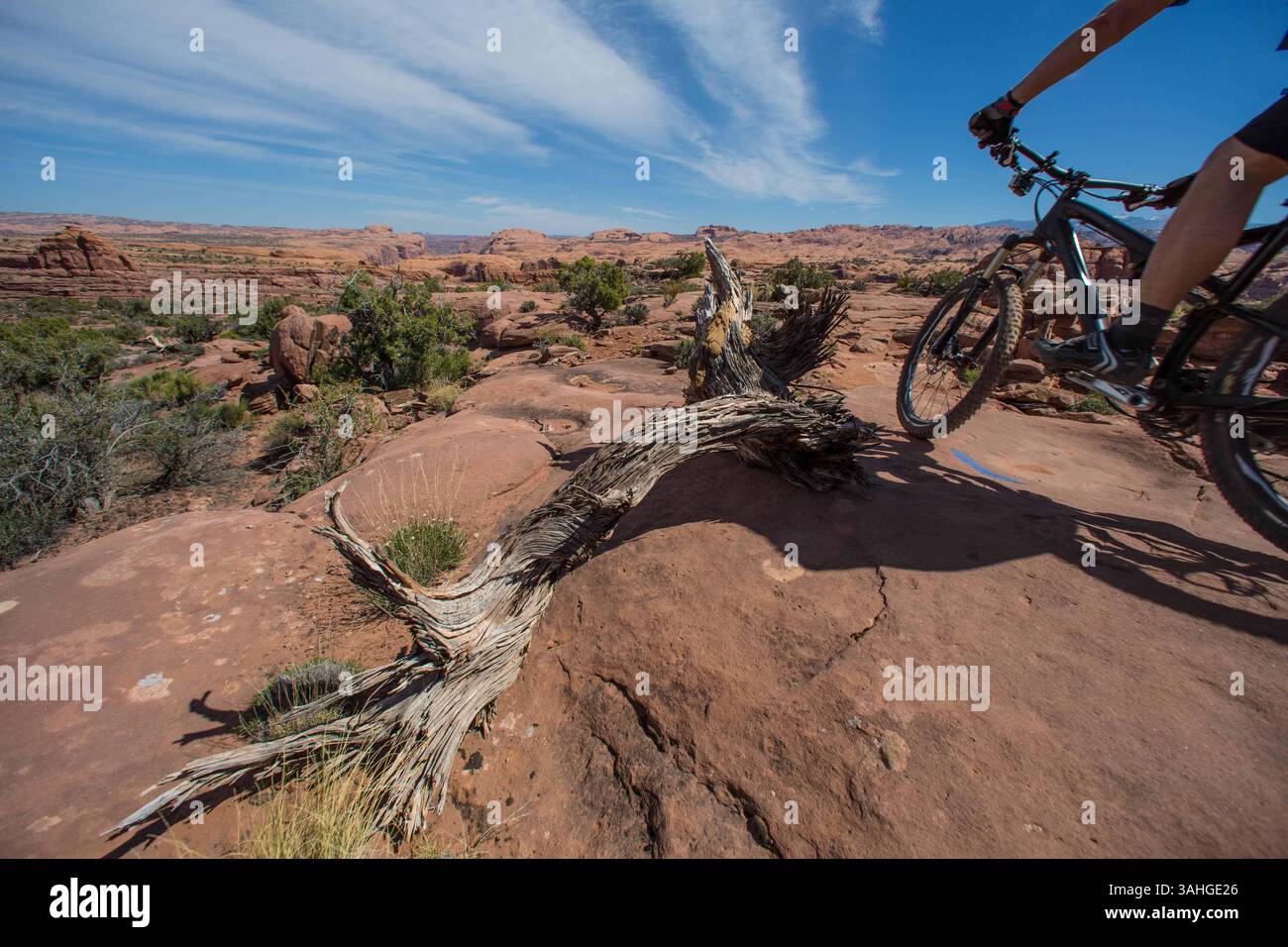 Apr 5, 2015 - Moab, Utah, U.S. - Mountain biker TIM LANE riding the red ...