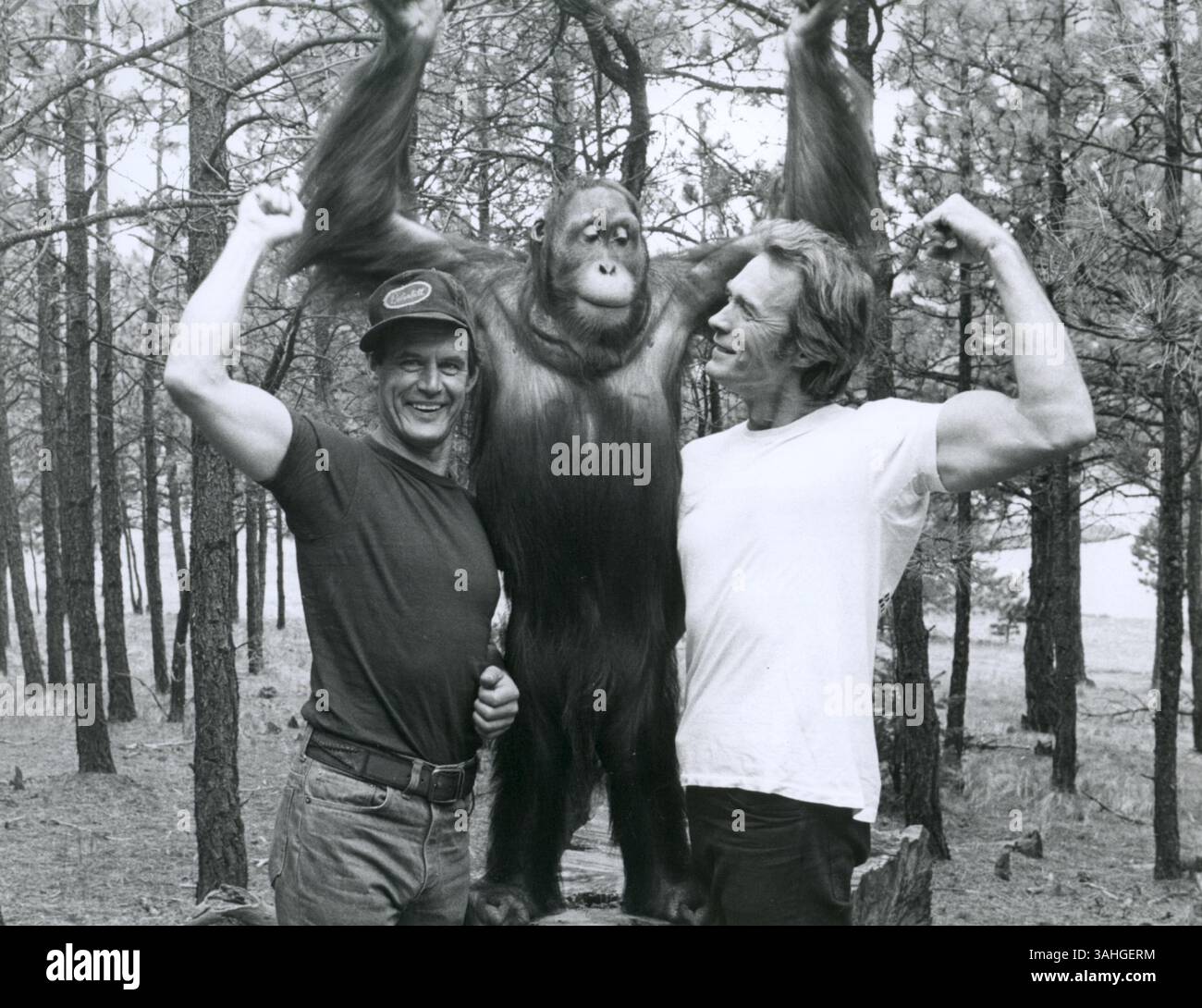 Philo beddoe hi-res stock photography and images - Alamy