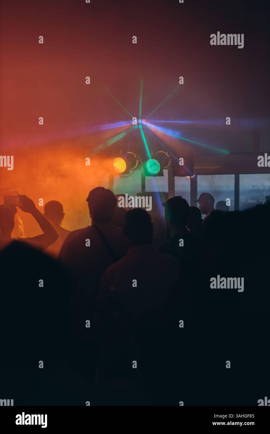 People with raised hands, in disco, silhouettes of concert crowd in ...