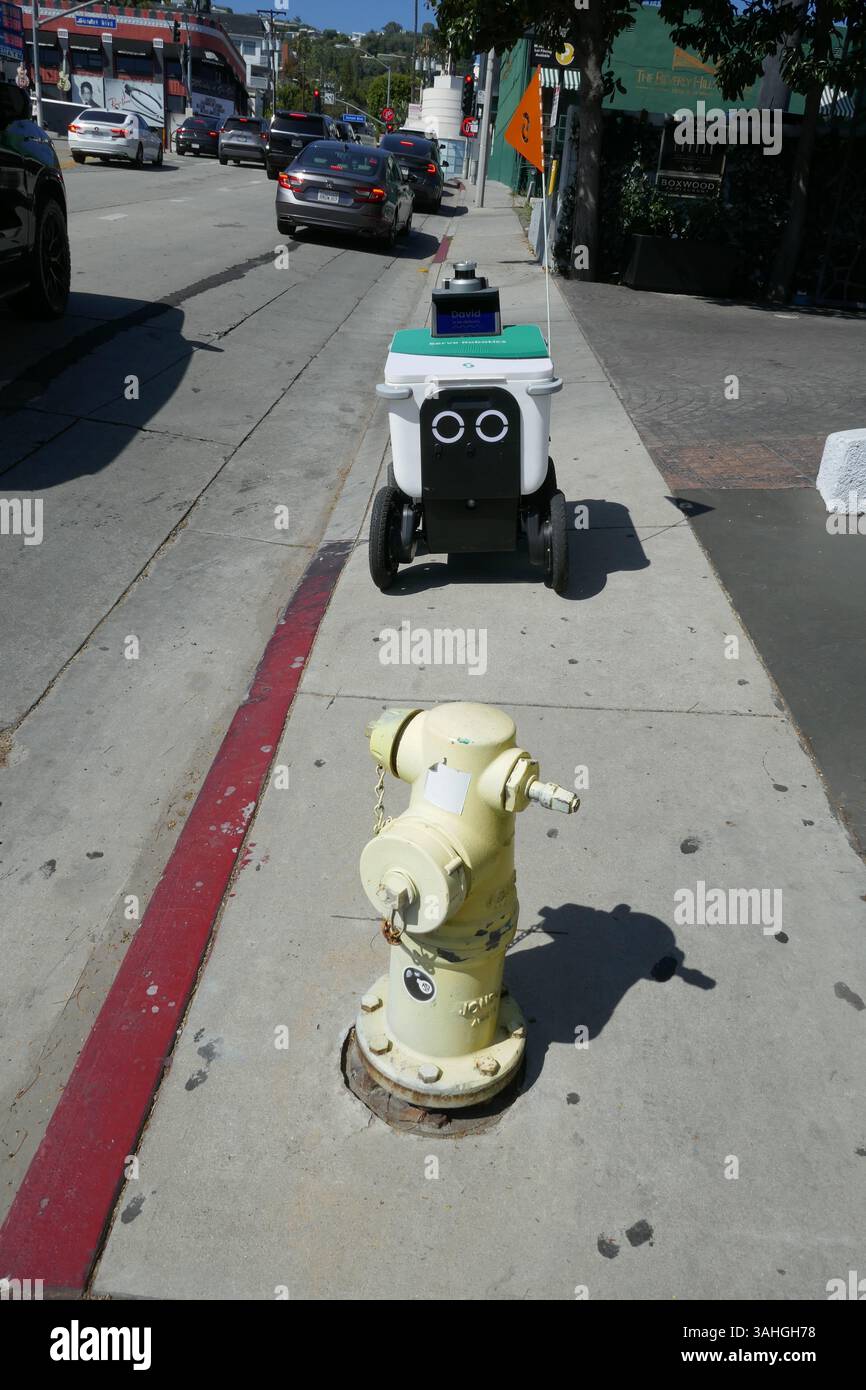 Los Angeles, California, USA 9th April 2025 Delivery Robot David ...