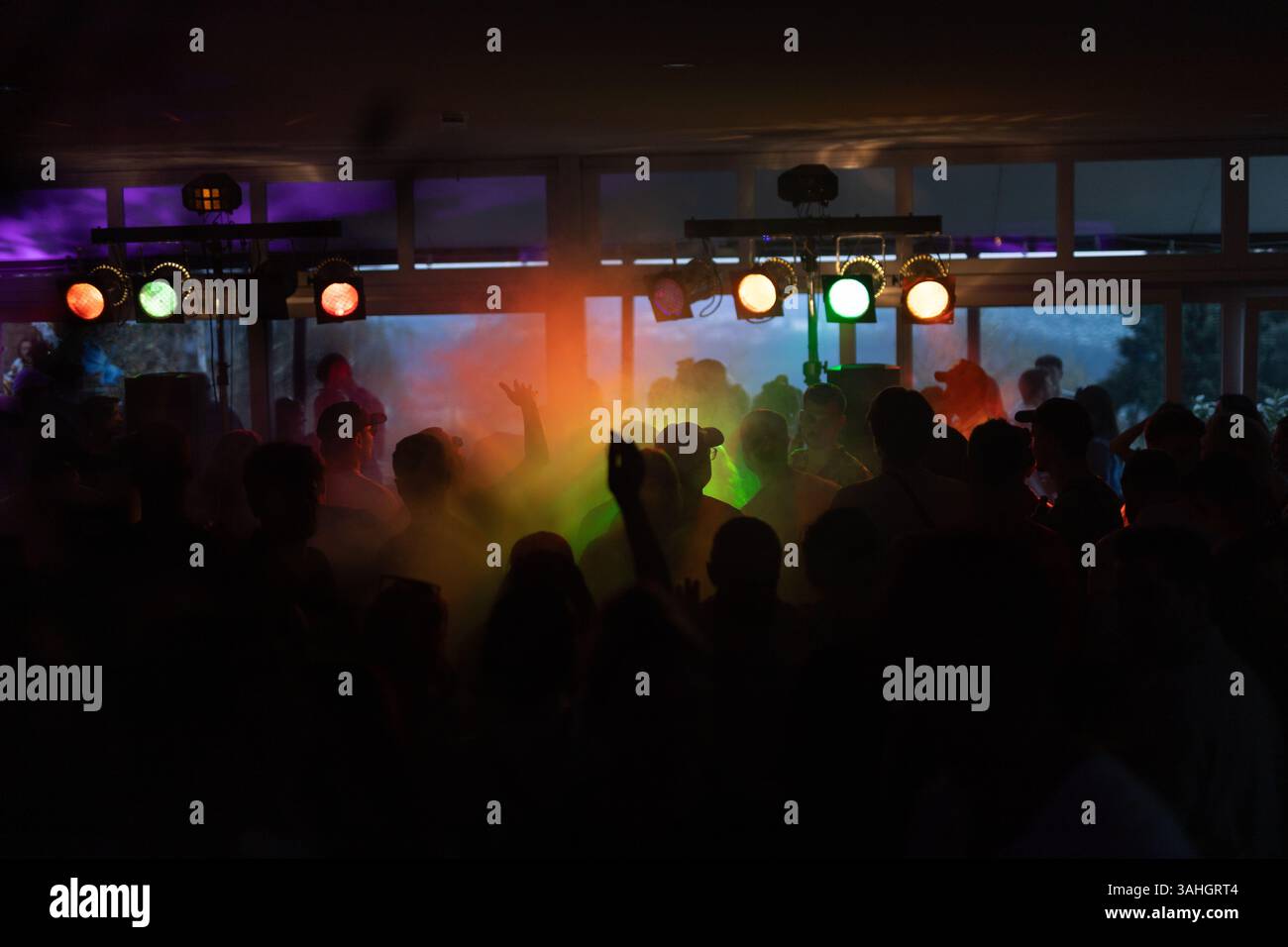 People with raised hands, in disco, silhouettes of concert crowd in ...