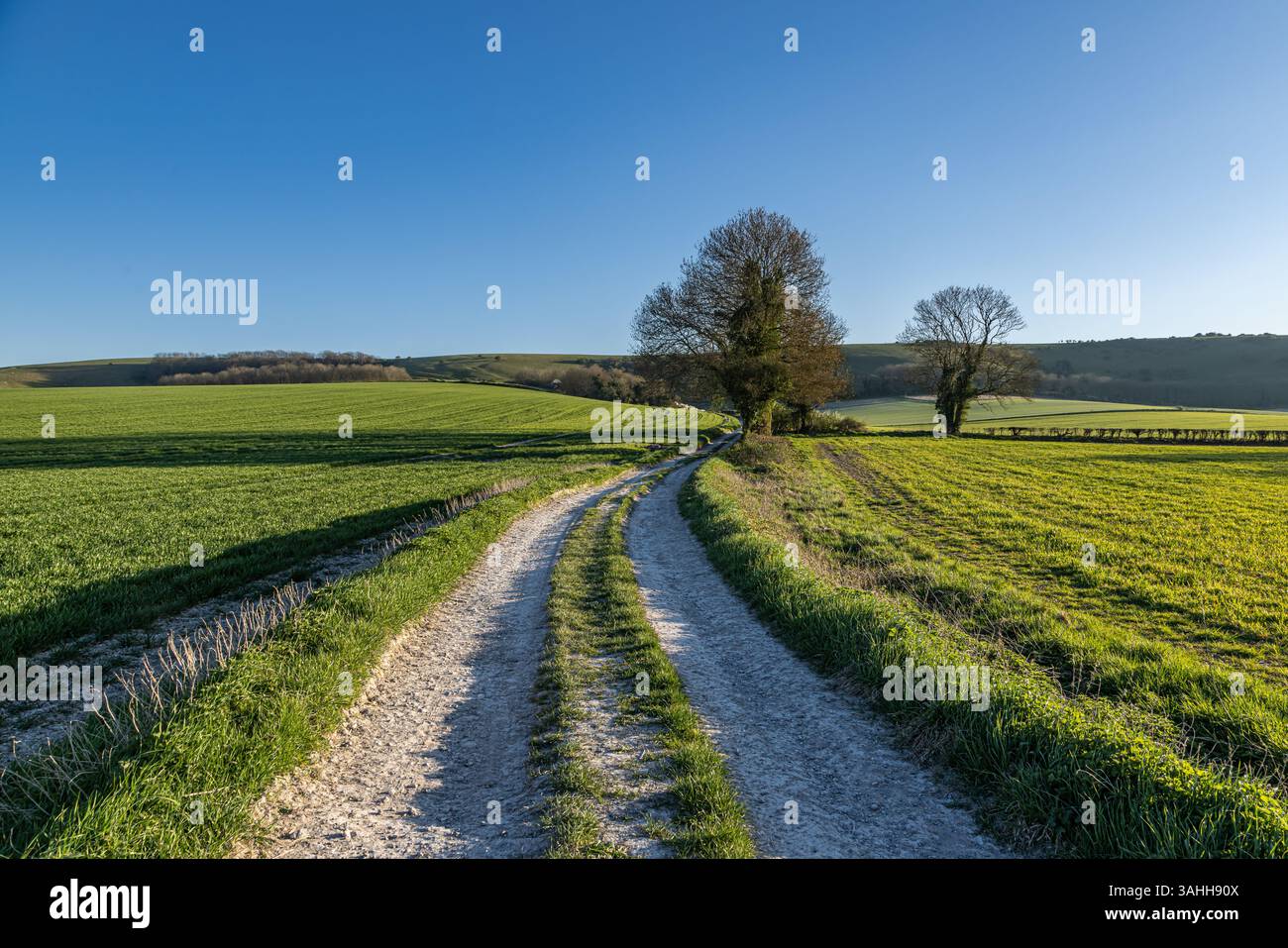 A chalk track through Sussex farmland, on a sunny spring evening Stock ...