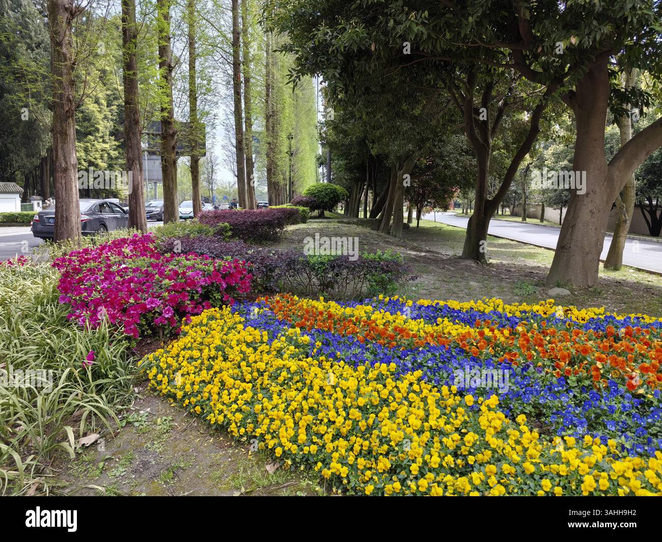 Spring flowers are in full bloom at a park in Chengdu City, southwest ...