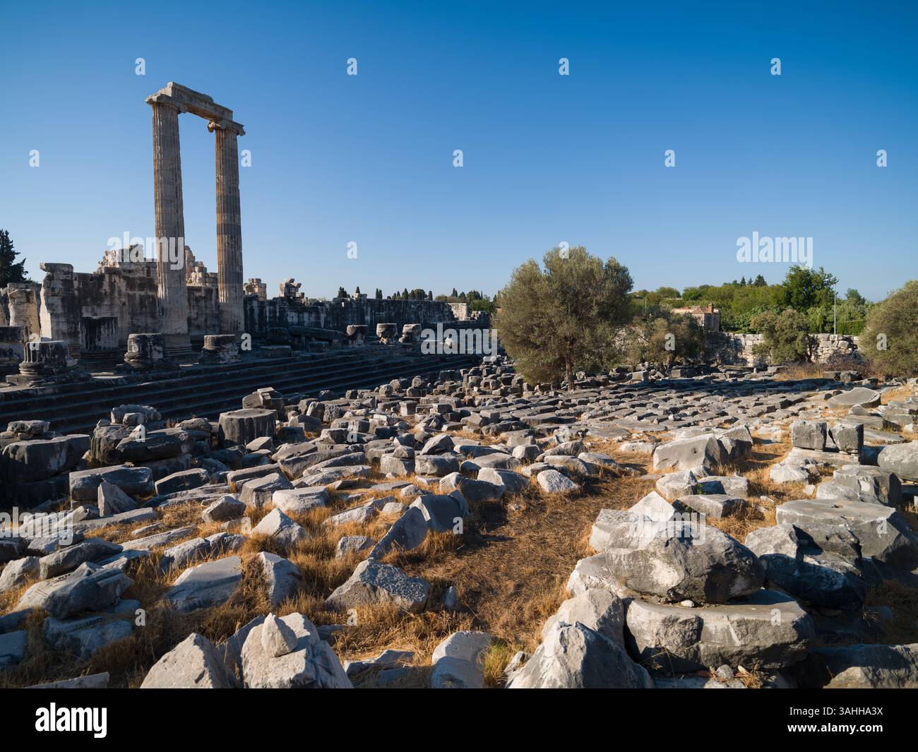 The temple of Apollo in Didim. Important ancient cities of Turkey ...