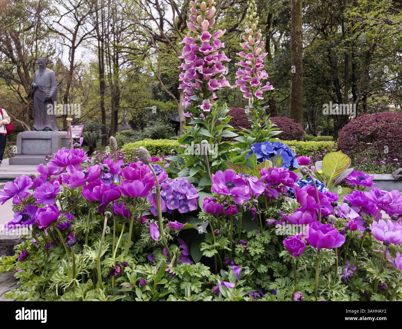 Spring flowers are in full bloom at a park in Chengdu City, southwest ...