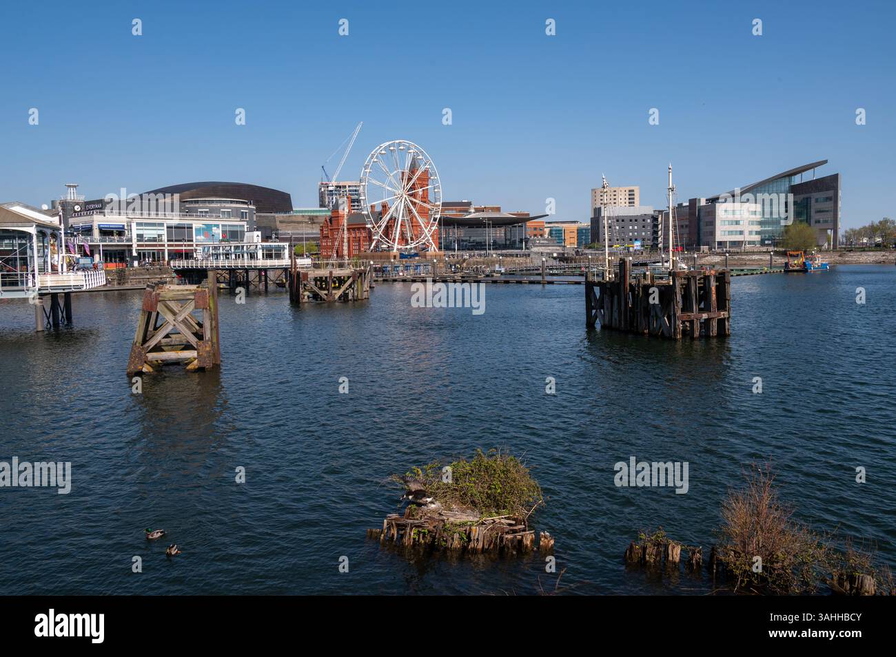 Cardiff Bay waterfront on a sunny spring afternoon Stock Photo - Alamy