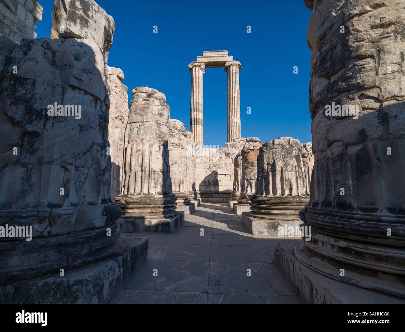 The temple of Apollo in Didim. Important ancient cities of Turkey ...