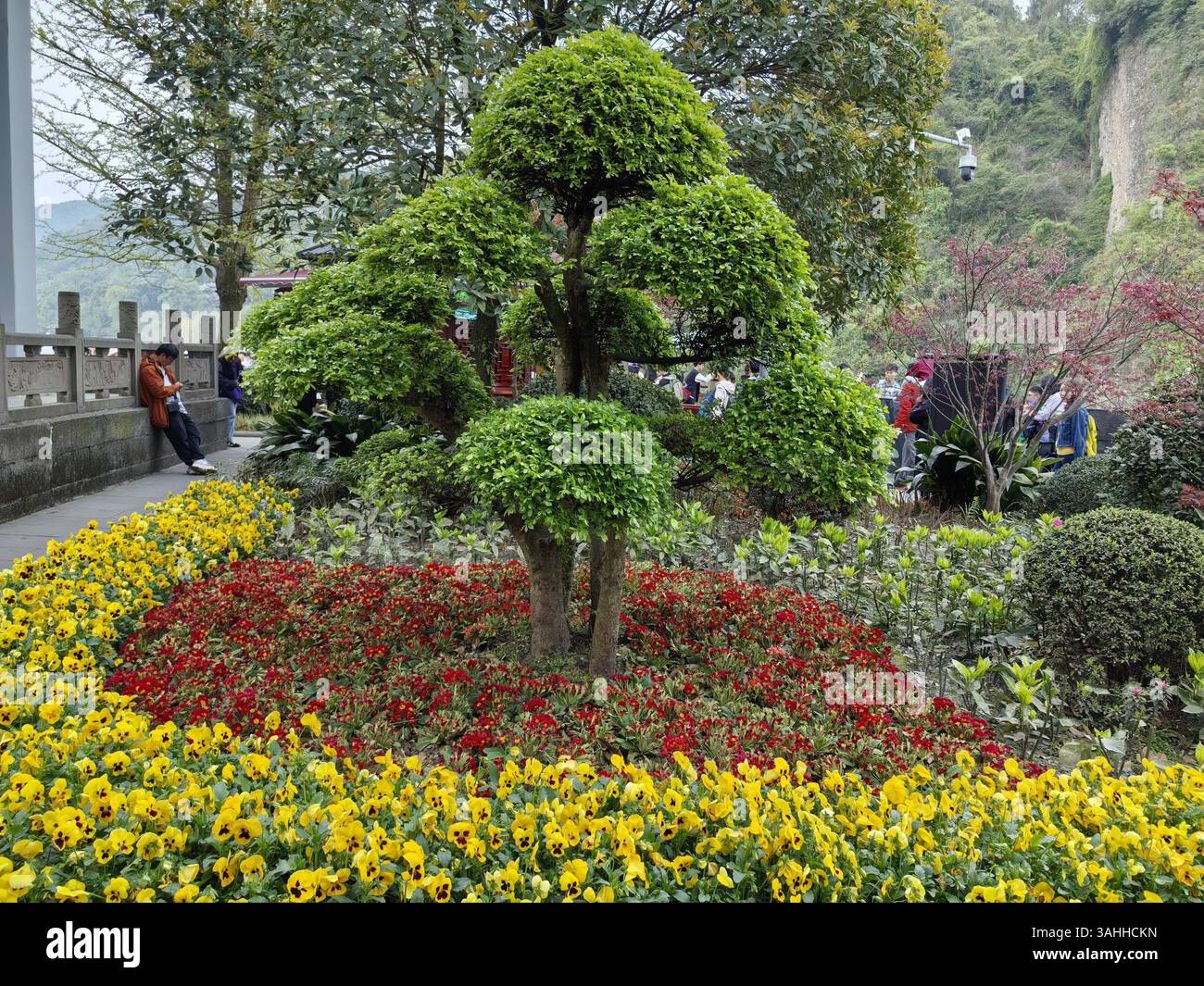 Spring flowers are in full bloom at a park in Chengdu City, southwest ...