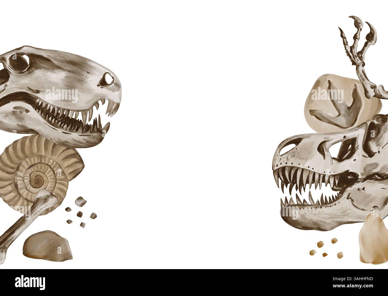 Frame with dinosaur fossils and cerepi. Ammonites and fossils. Predator ...