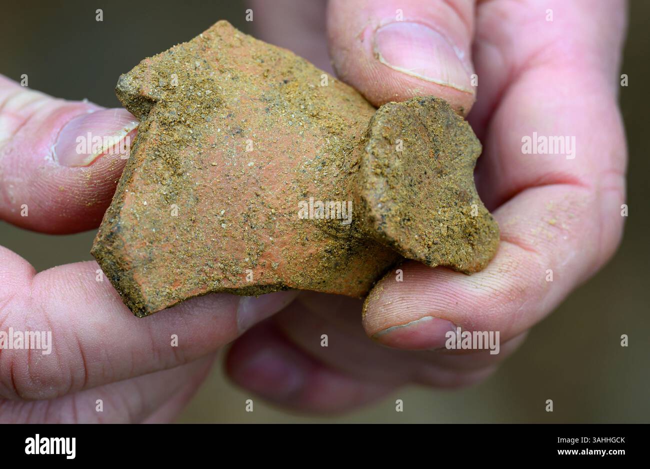 PRODUCTION - 08 April 2025, Saxony, Freiberg: Silvio Bock, excavation ...