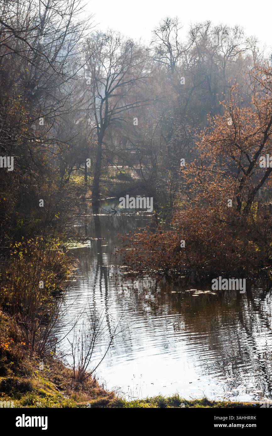 A peaceful winter scene showcasing a calm river surrounded by trees ...