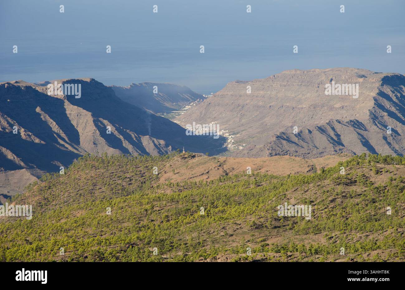 Integral Natural Reserve of Inagua and Mogan ravine. Mogan. Gran ...
