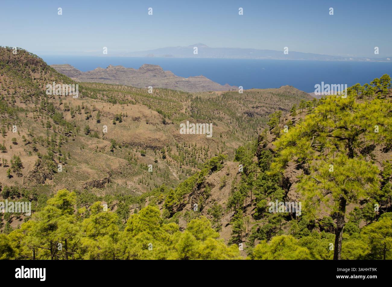 Integral Natural Reserve of Inagua, cliffs of the Guigui Special ...