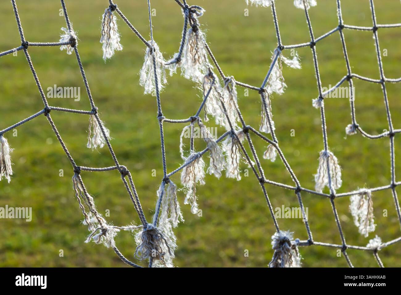 Frayed soccer goal net lines the goal post, revealing significant wear ...