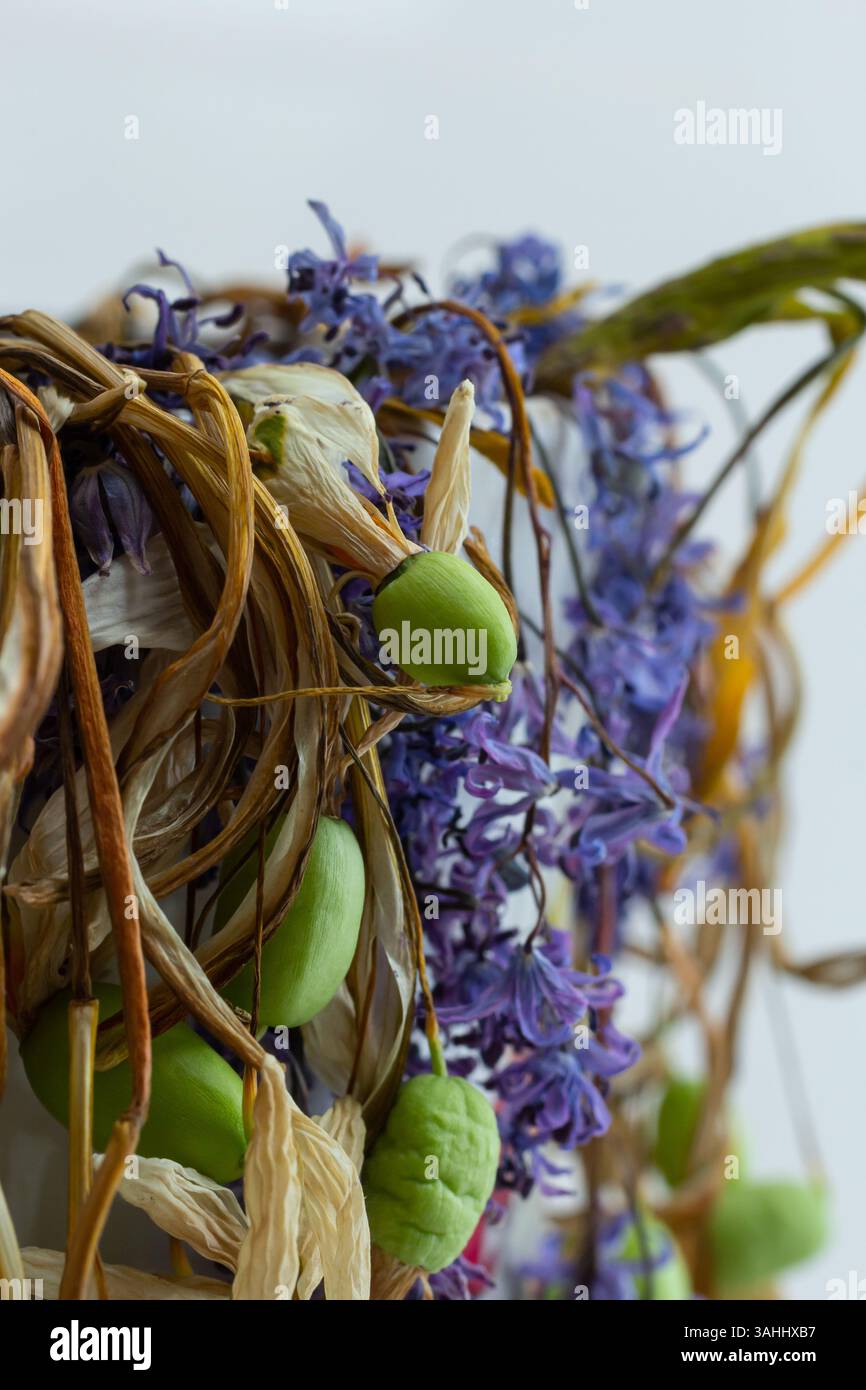 A vibrant collection of dried flowers and green pods is meticulously ...
