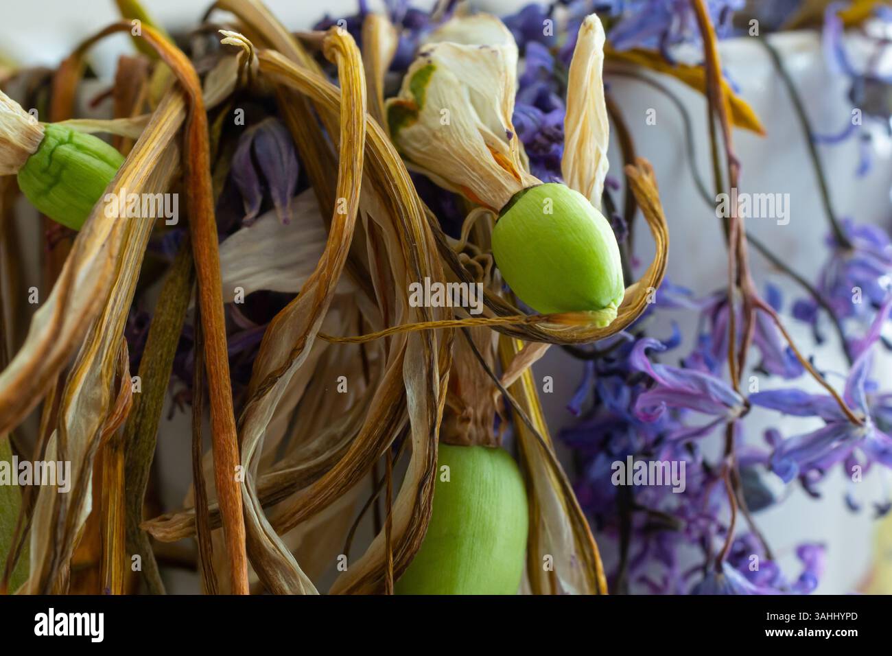 Vibrant textures intertwine hi-res stock photography and images - Alamy