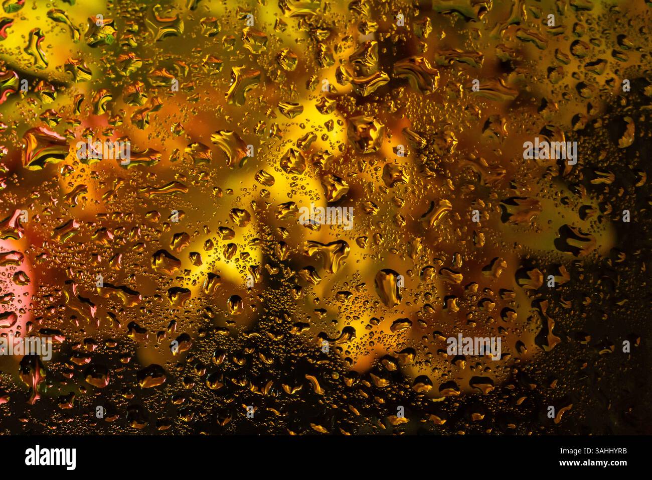 abstract background fall, glass drops autumn yellow leaves wet october ...