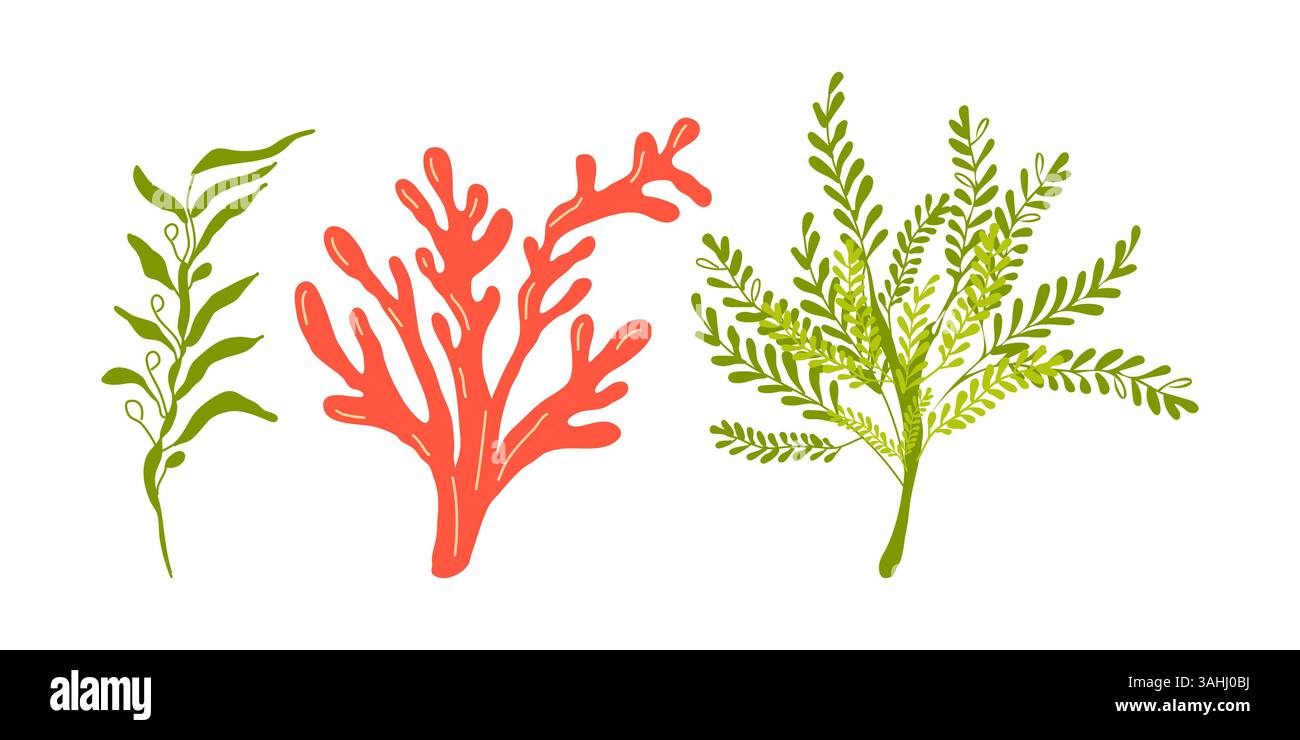 Sea Plants Underwater ocean Marine flora Set. Design for banner poster ...