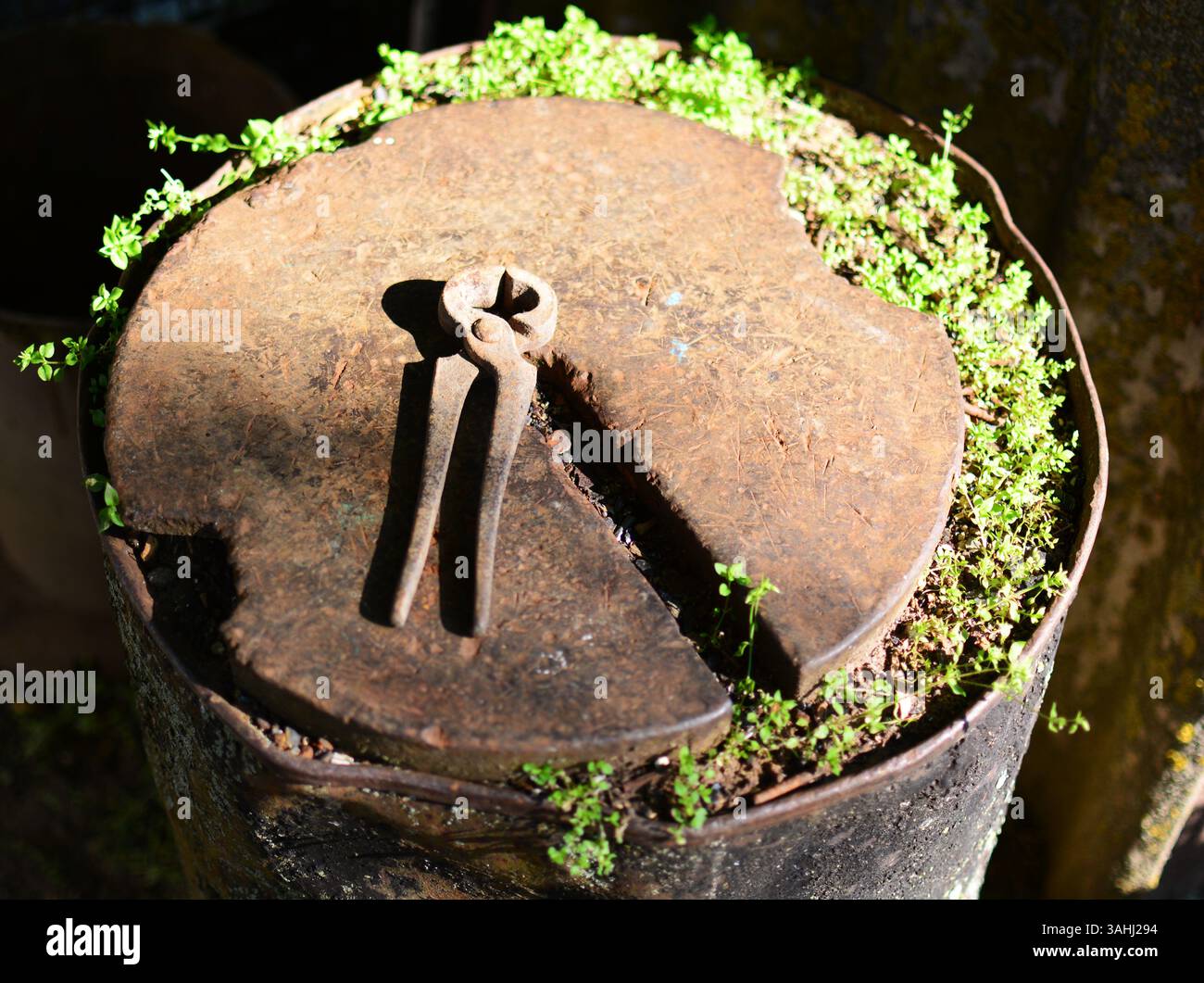 Old rusty vintage tongs on old anvil in village. Antique tool put on ...