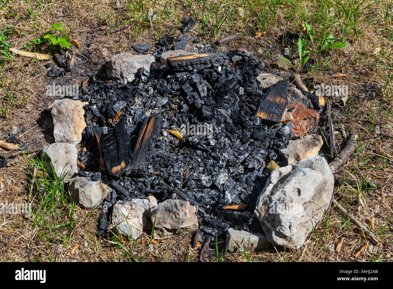 Charred remains of a fire pit are surrounded by stones in a grassy area ...