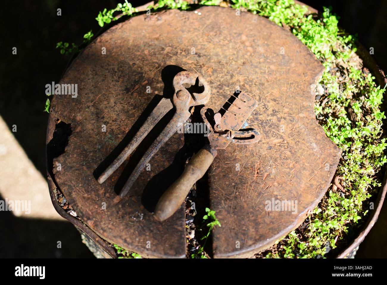 Old rusty vintage tools on old anvil in village. Antique tongs and ...