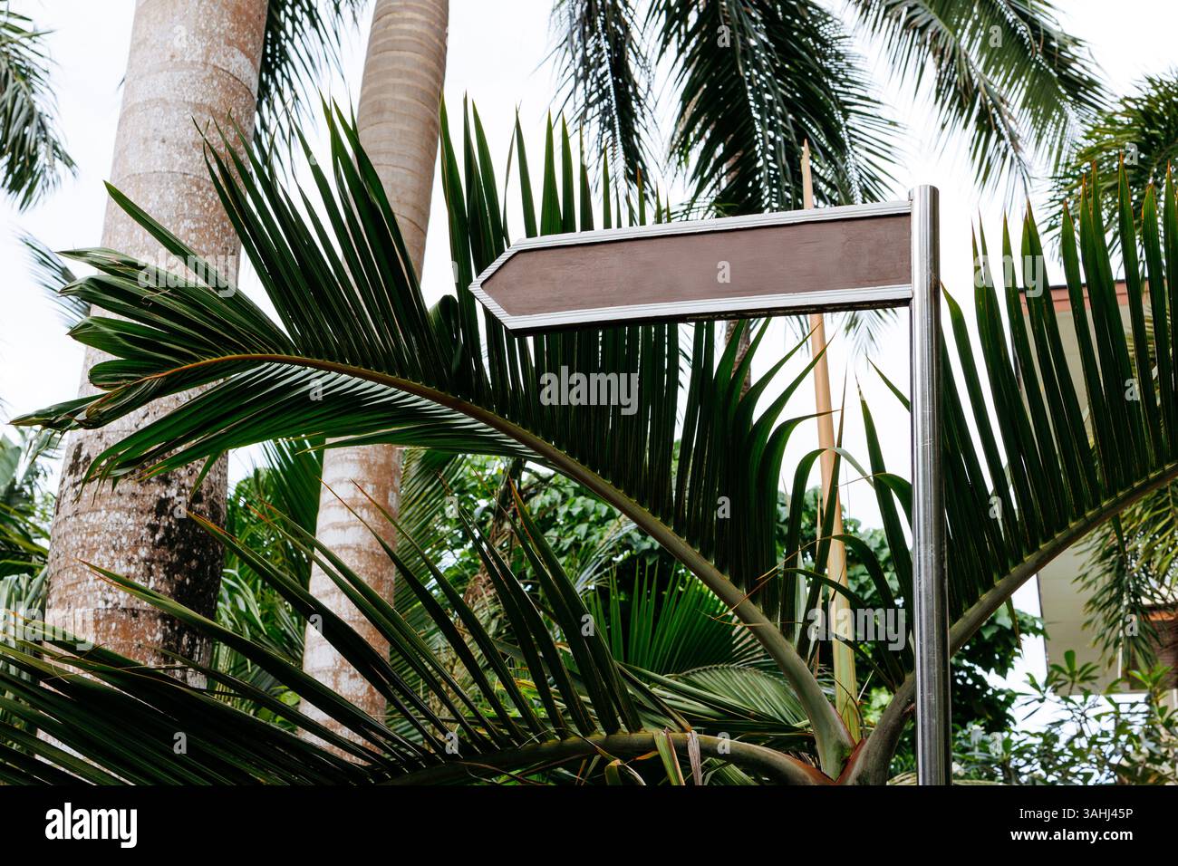 Empty arrow signpost along a tropical surroundings Stock Photo - Alamy