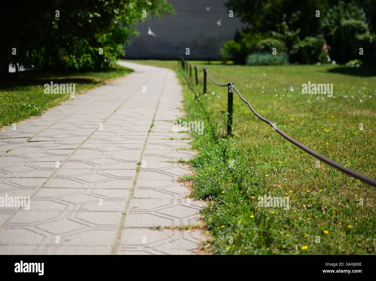 Footpath in a city with trees and metal wire fence at the sides. Sunny ...