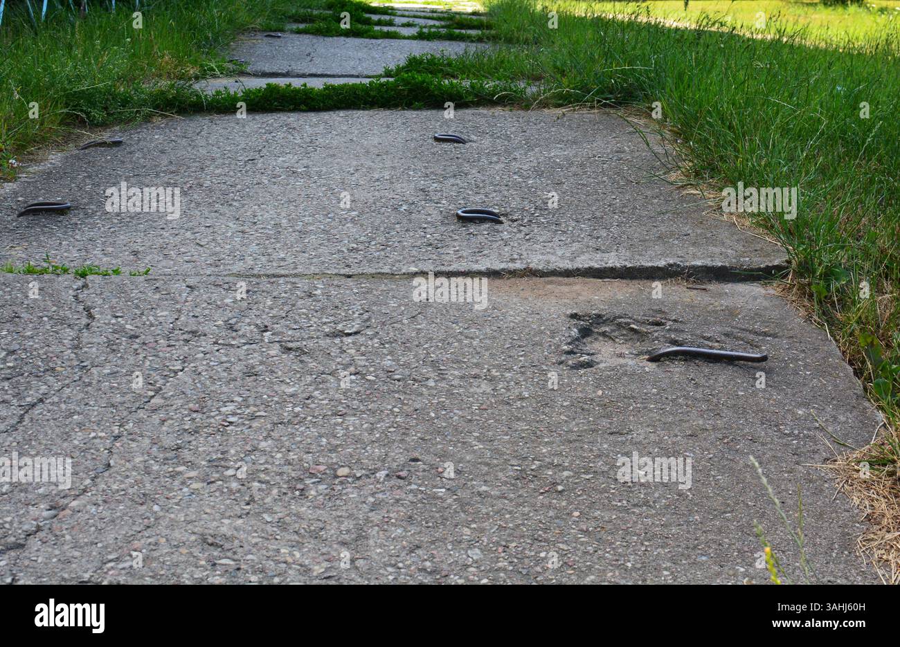 Old soviet footpath made of big concrete blocks in east Europe city ...