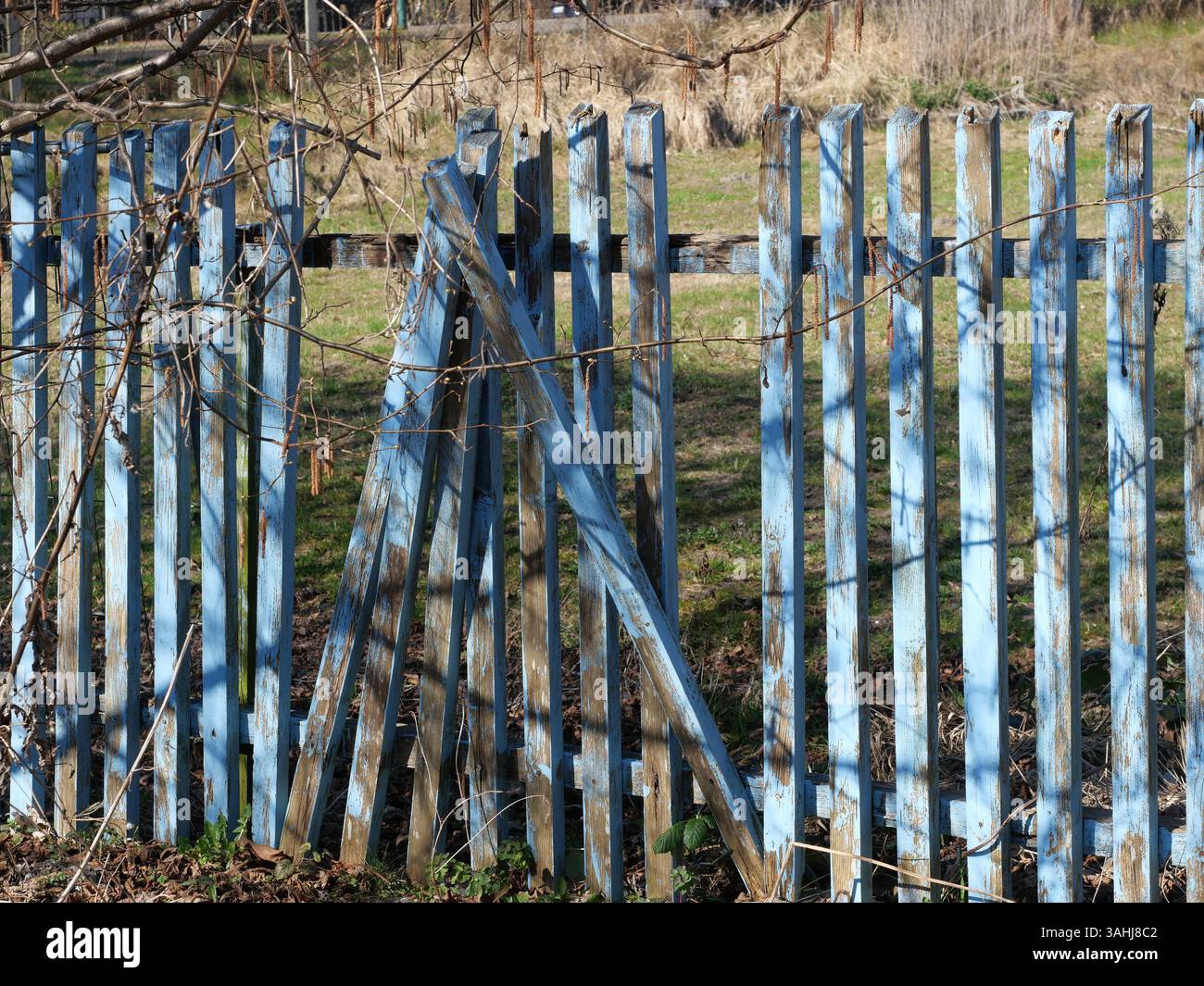 A decayed fence with crooked, loose wooden slats, the last remnant of ...