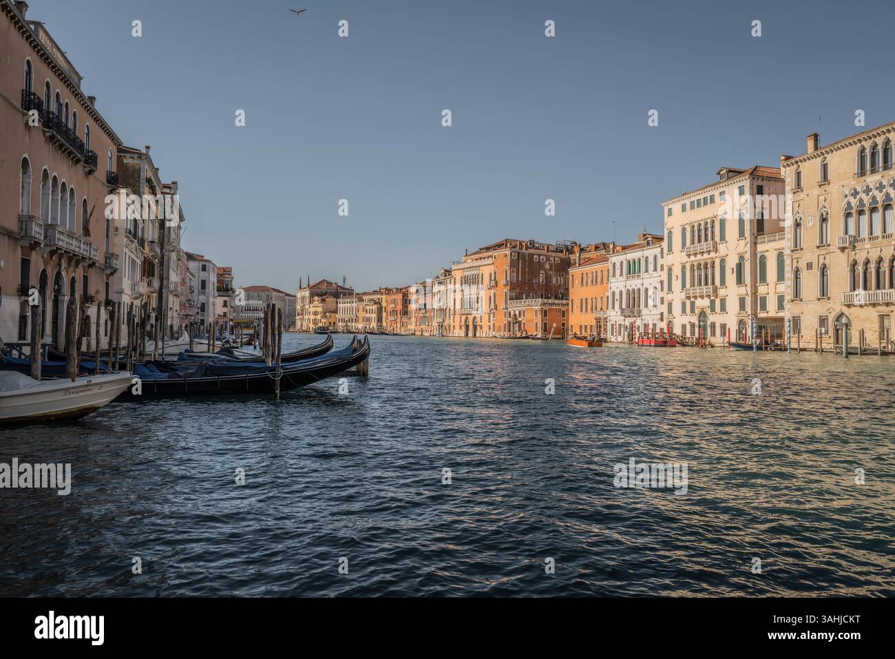 Gondolas float along the Grand Canal lined with historical buildings at ...