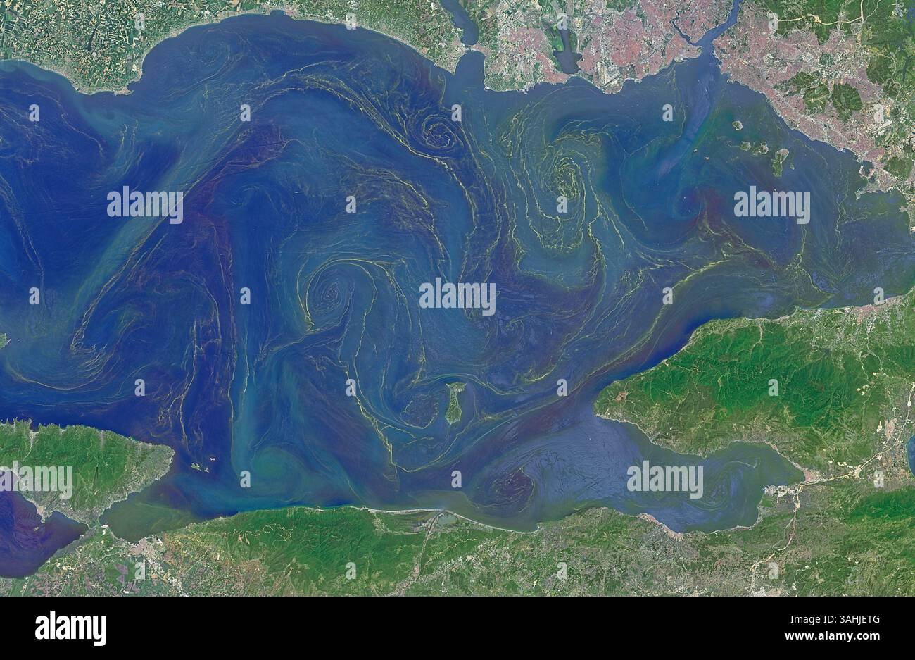 May 15, 2015 - ..Phytoplankton bloom in the Sea of Marmara..Blooms in ...
