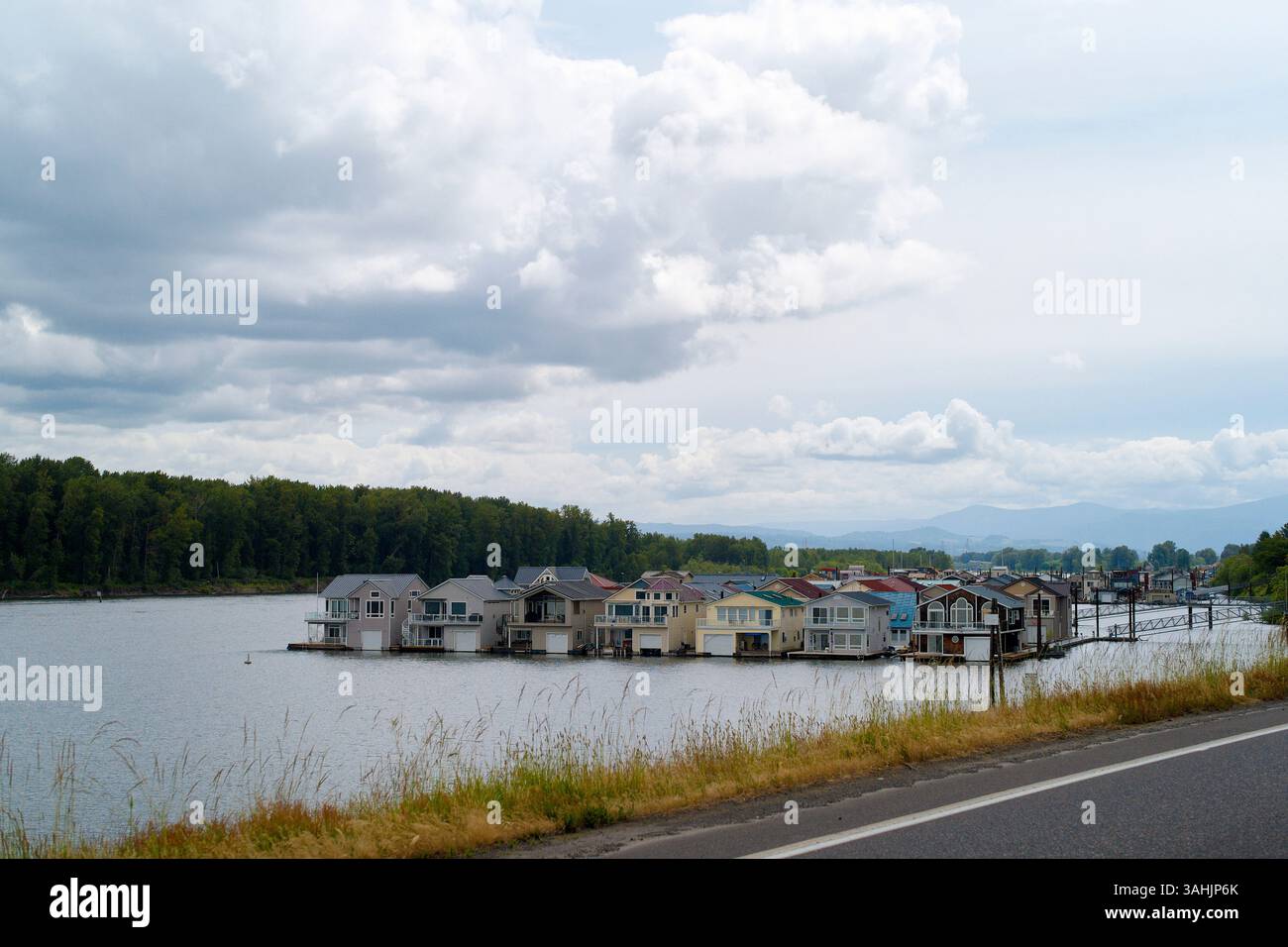Floating houses on a calm river under a cloudy sky, surrounded by lush ...