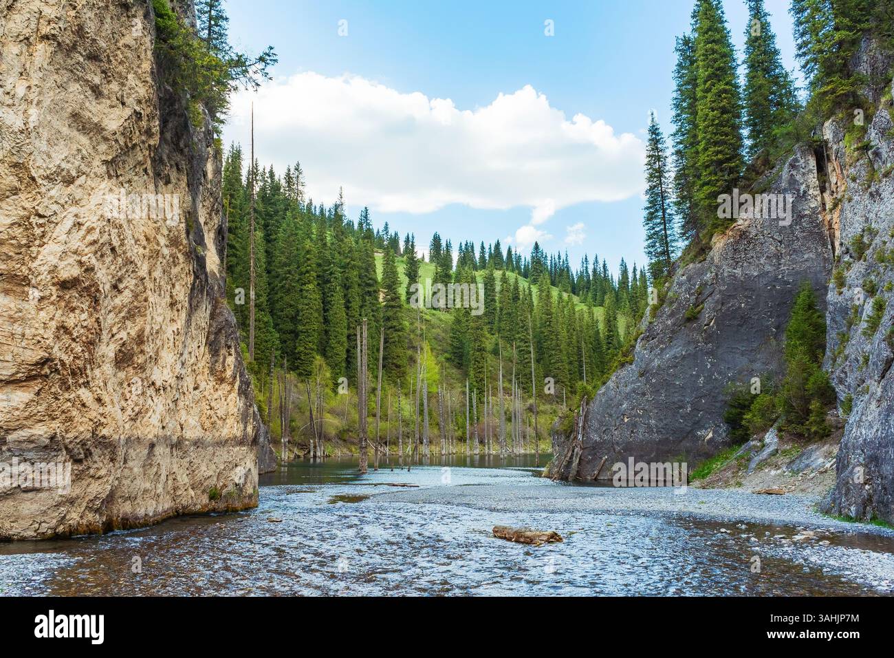 spring with drinking water in the mountains of kazakhstan. clean melt ...