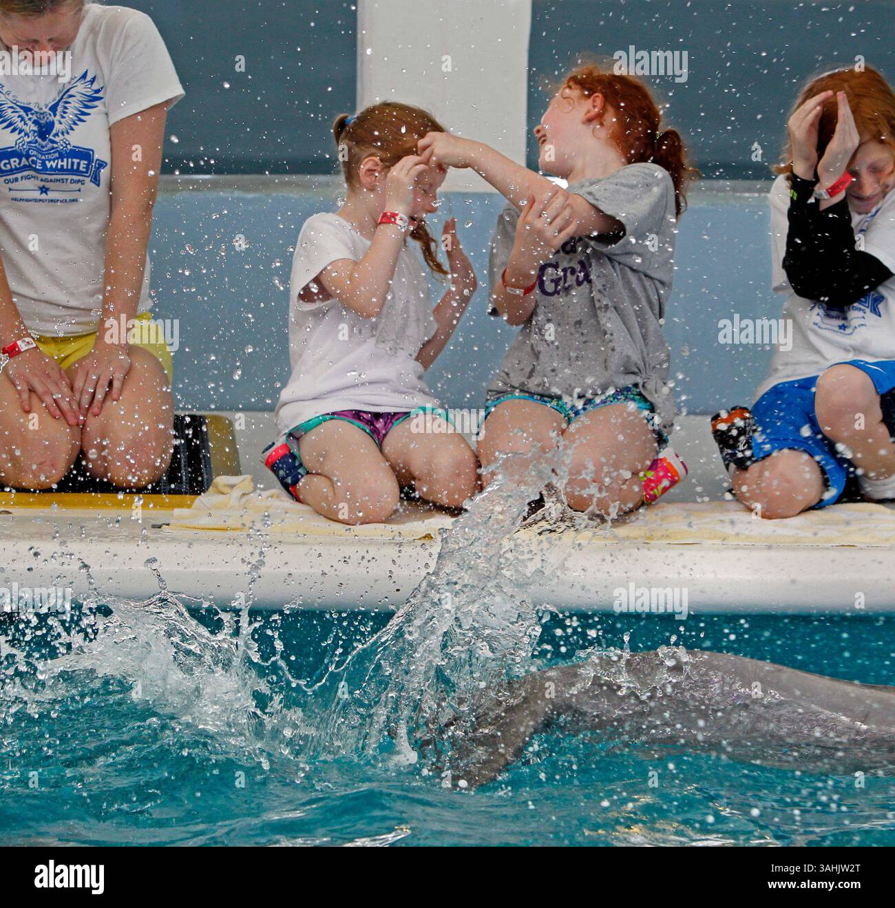 May 18, 2015 - Clearwater, Florida, U.S. - JIM DAMASKE | Times.Grace ...