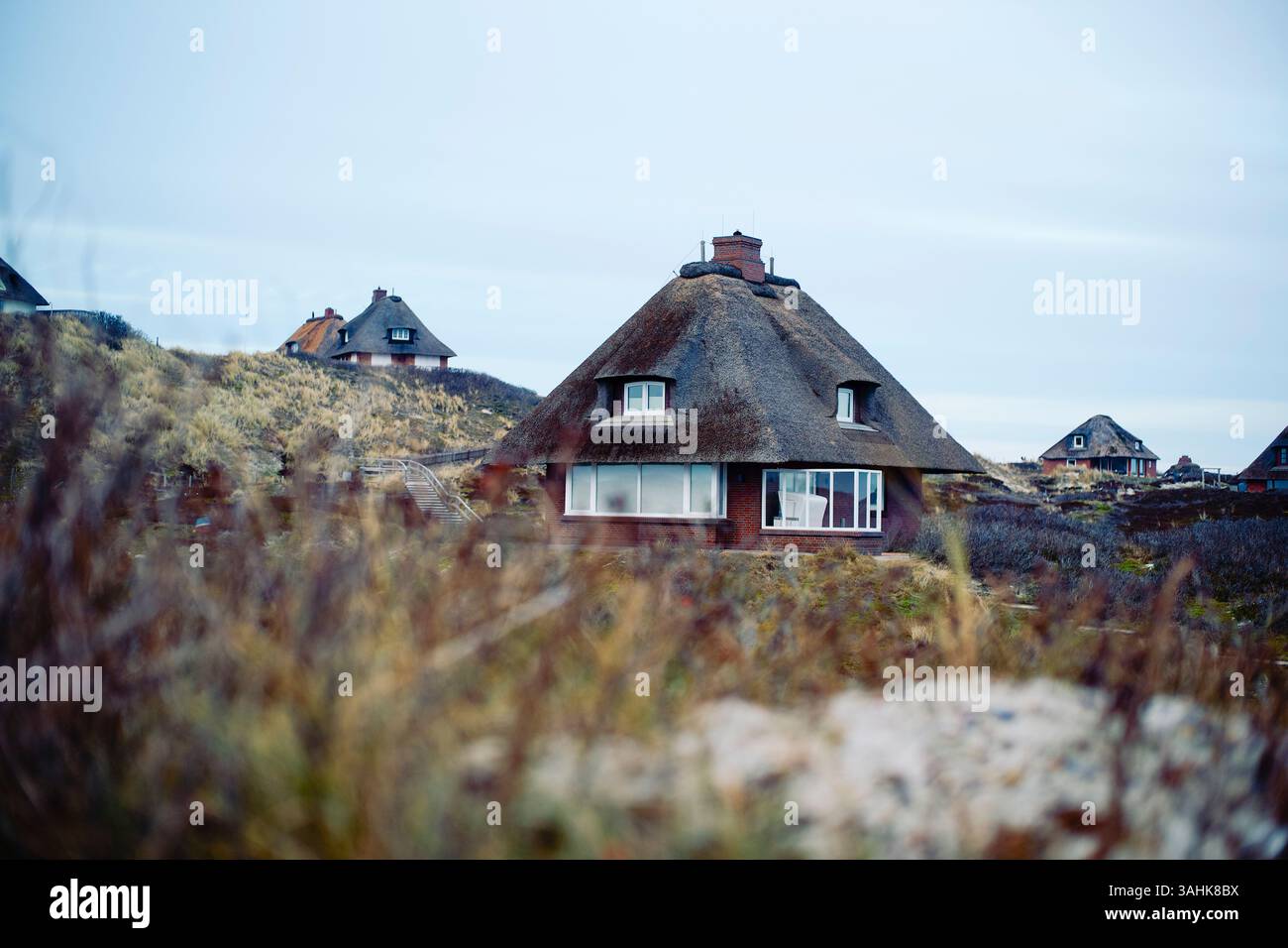 Traditional thatched-roof house amid dunes and grasses under a clear ...