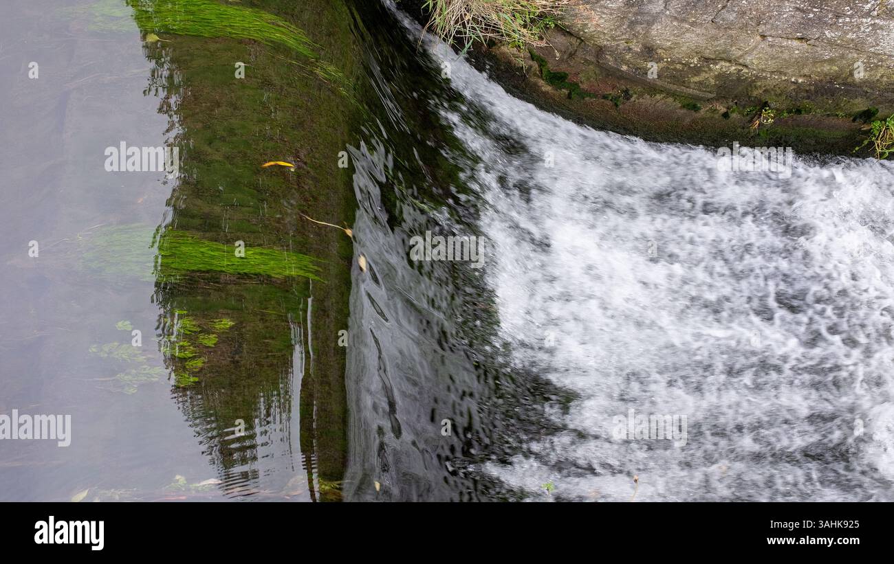 A section of the river Stour in Canterbury, the second longest river in ...
