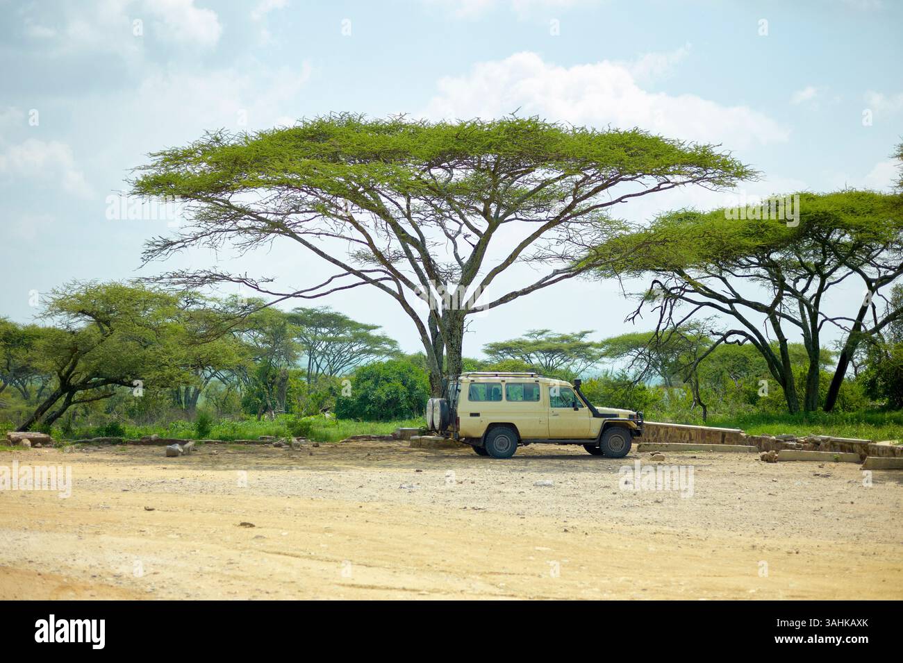 Savannlandscape hi-res stock photography and images - Alamy