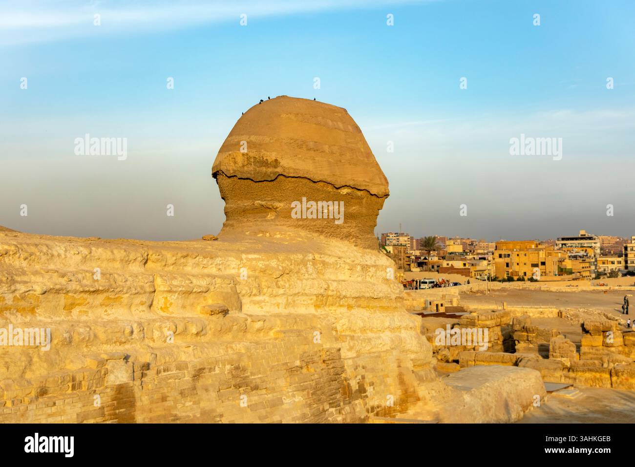 Cairo, Egypt; January 20, 2024: Capture the Sphinx of Giza, a pharaoh's ...