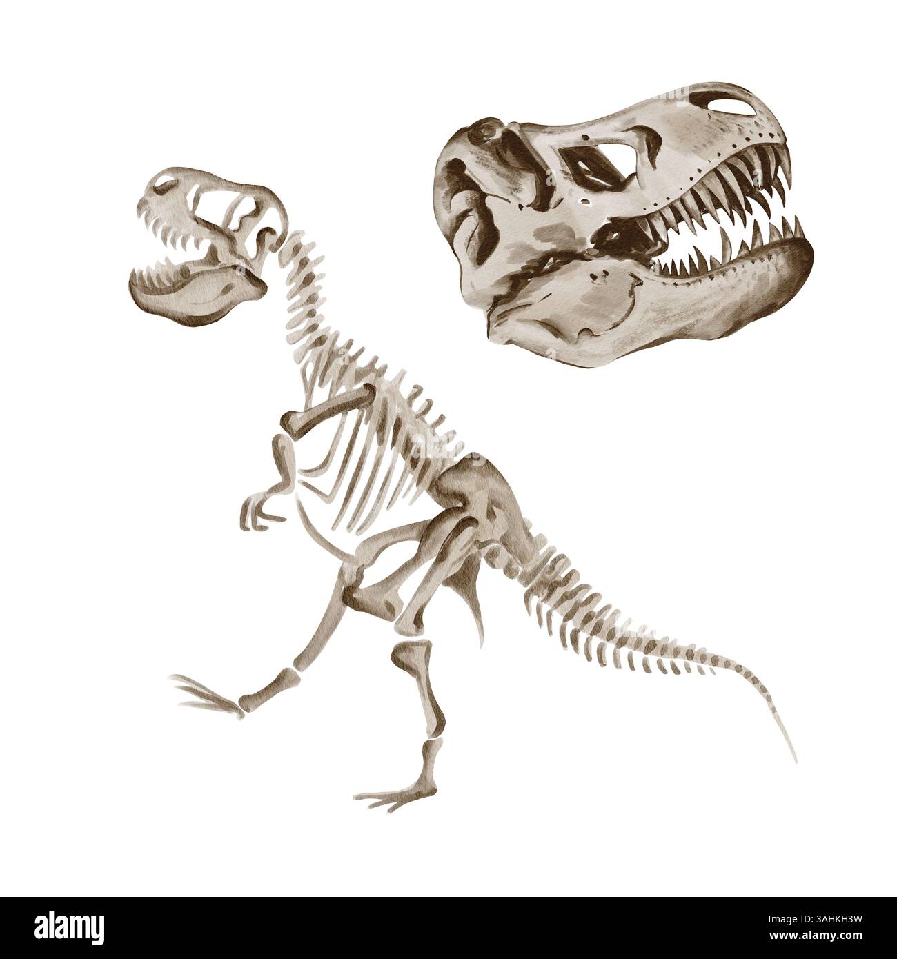 Dinosaur rex. Theranosaurus skeleton. Ancient fossil. Museum exhibit ...