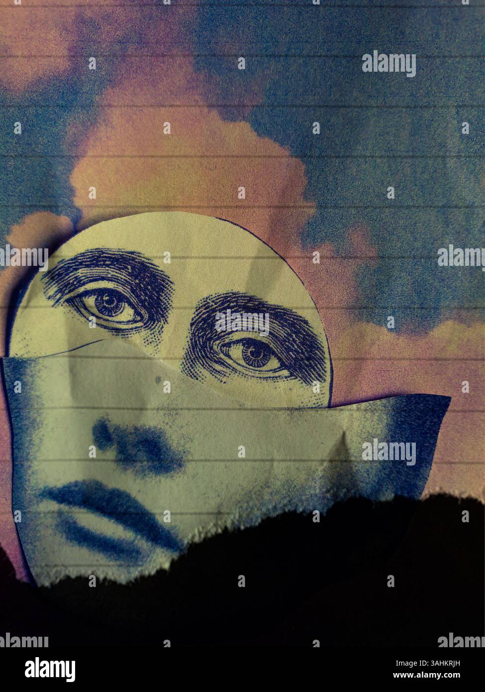 Conceptual collage art of a face made of two different halves Stock ...