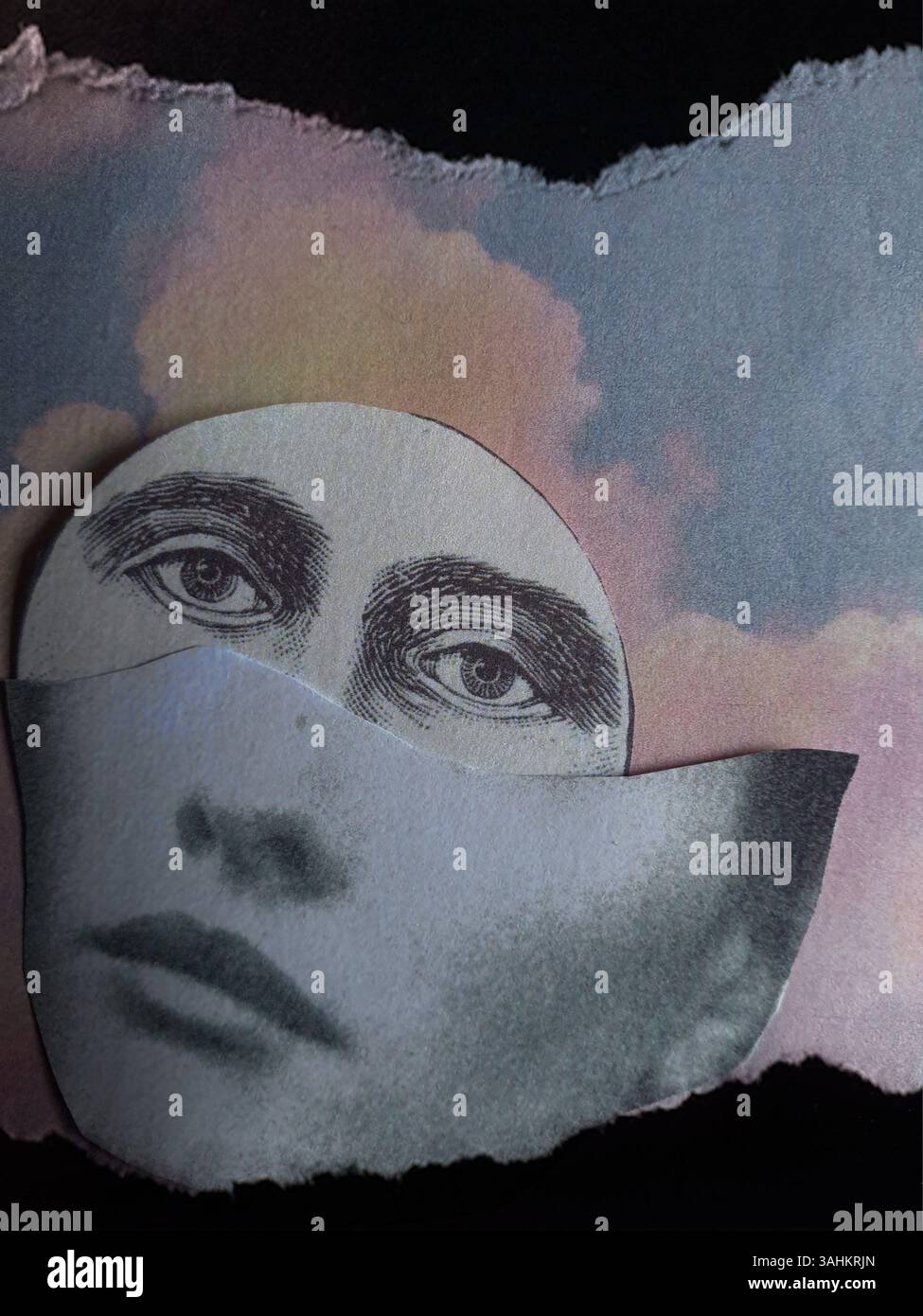 Conceptual collage art of a face made of two different halves Stock ...