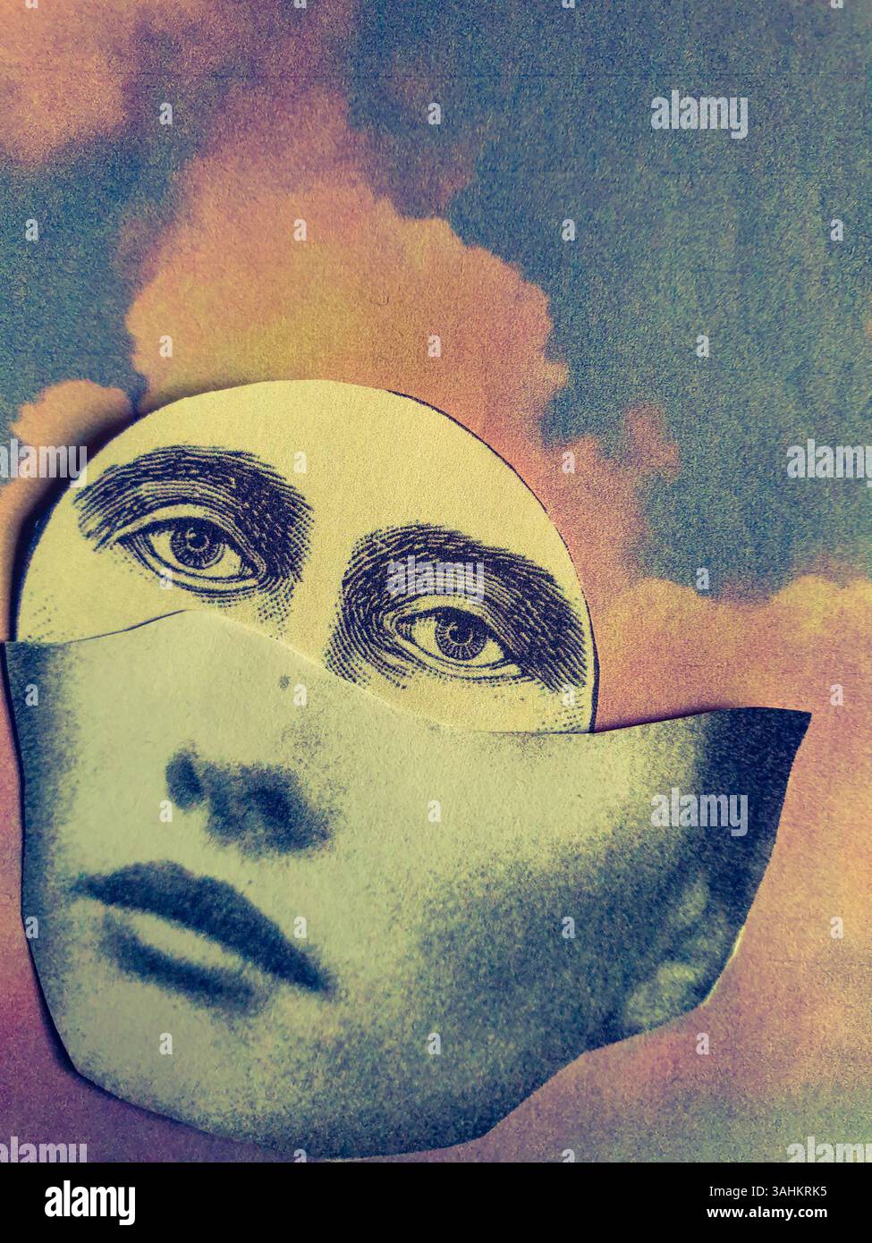 Conceptual collage art of a face made of two different halves Stock ...