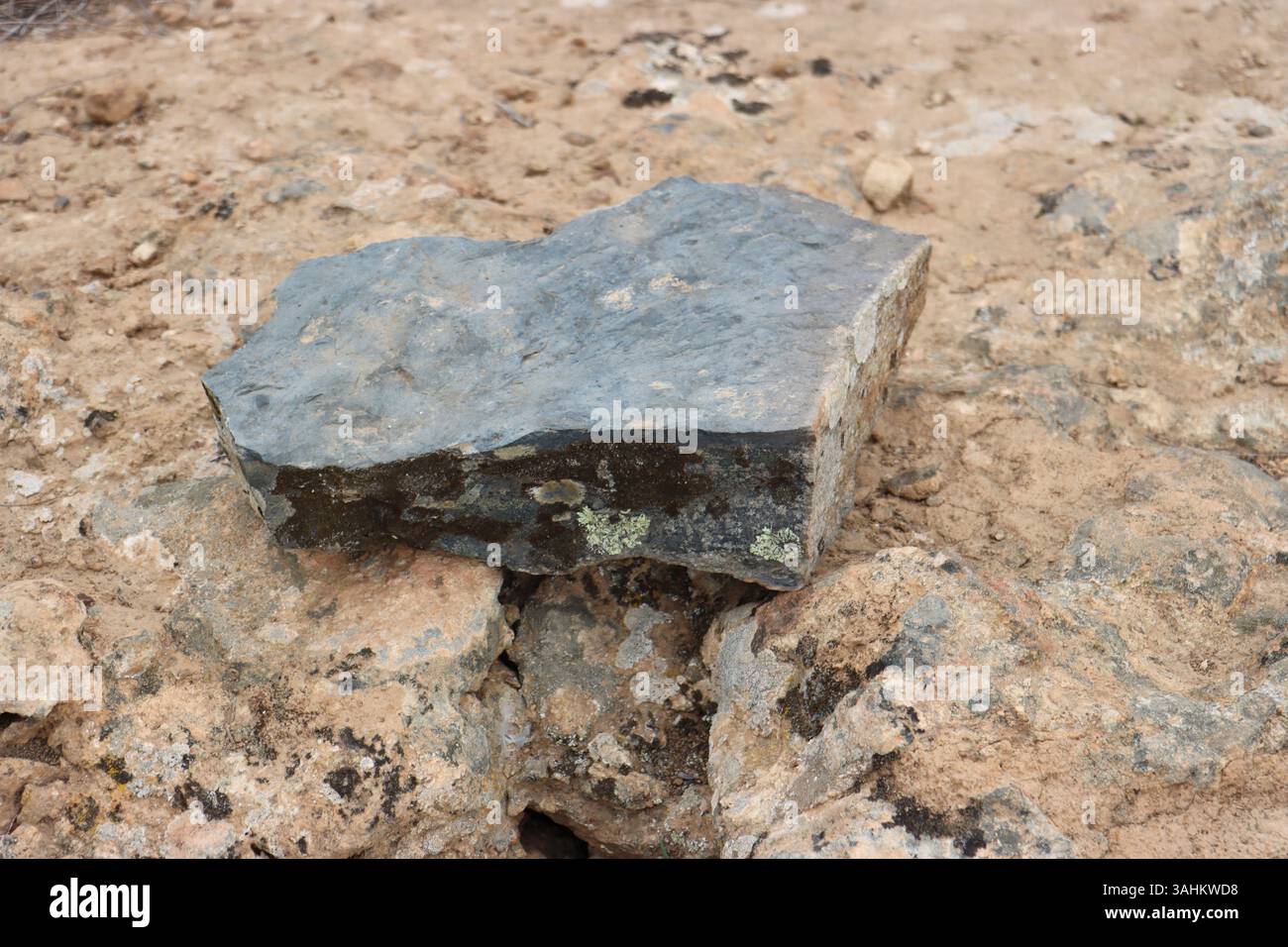 flat stone on the ground ready to sit on, full of moss and lichen Stock ...