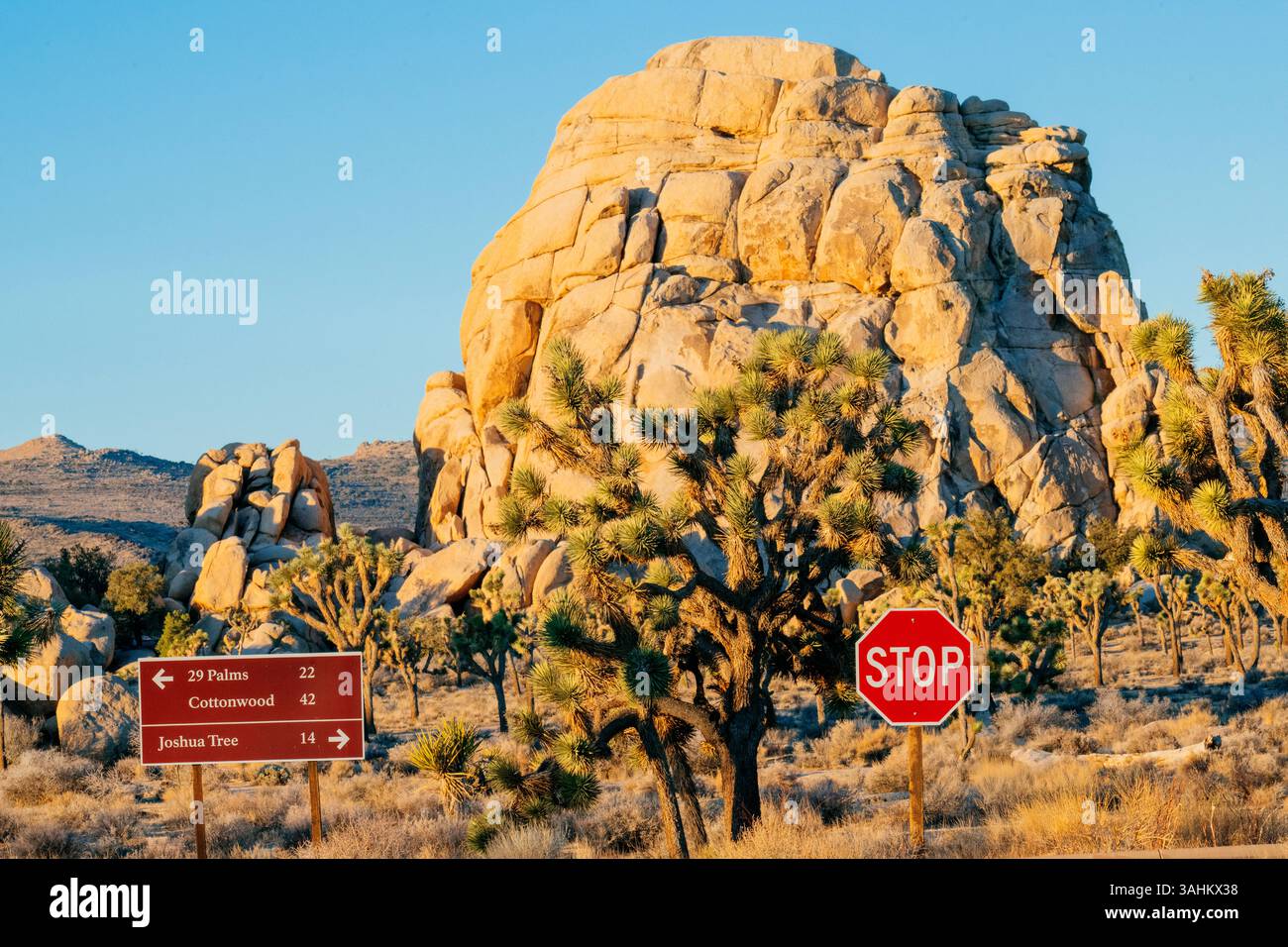 Rugged desert landscape with Joshua trees, a large rock formation, road ...