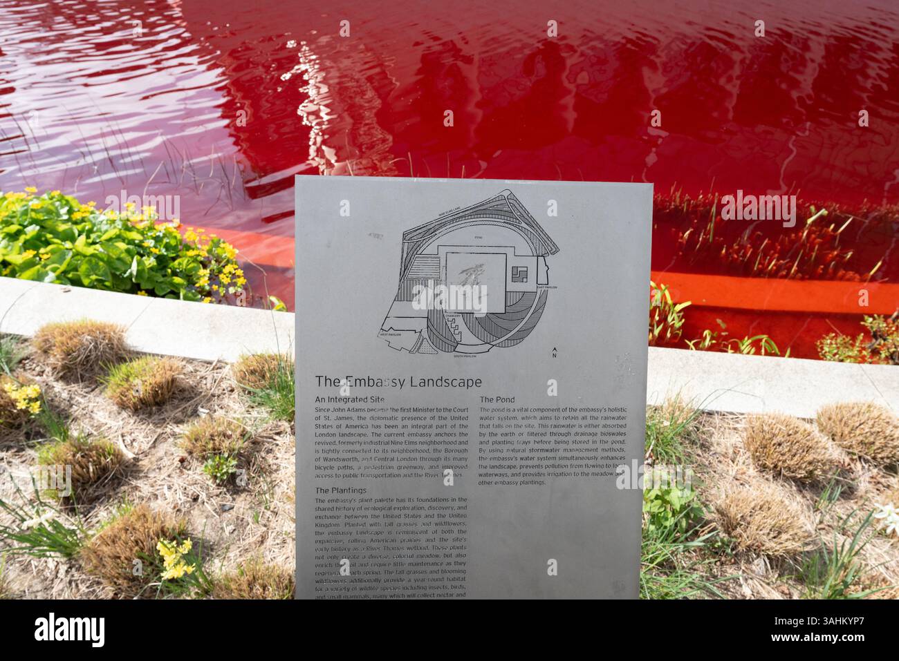 London, UK. 10 April, 2025. Activists from Greenpeace dye the pond ...