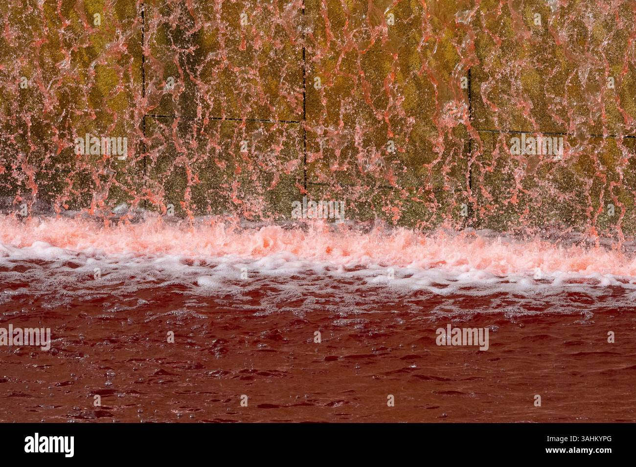 London, UK. 10 April, 2025. Activists from Greenpeace dye the pond ...